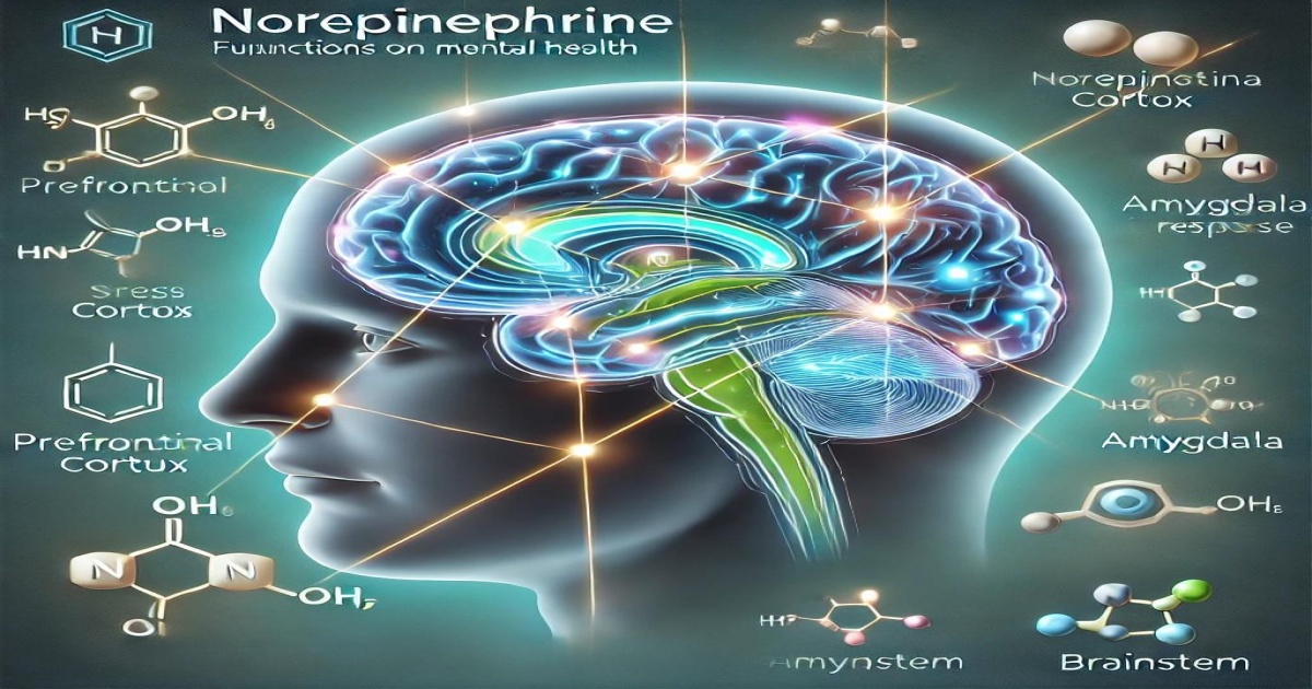 Norepinephrine and Mental Health: Understanding Its Role and Impact ...